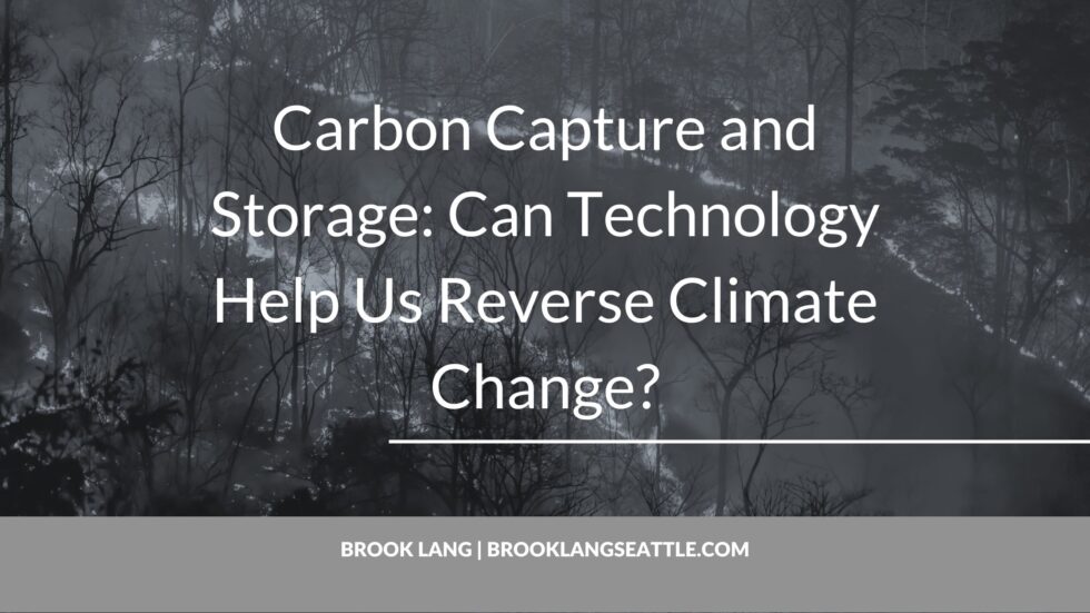 Carbon Capture and Storage: Can Technology Help Us Reverse Climate ...